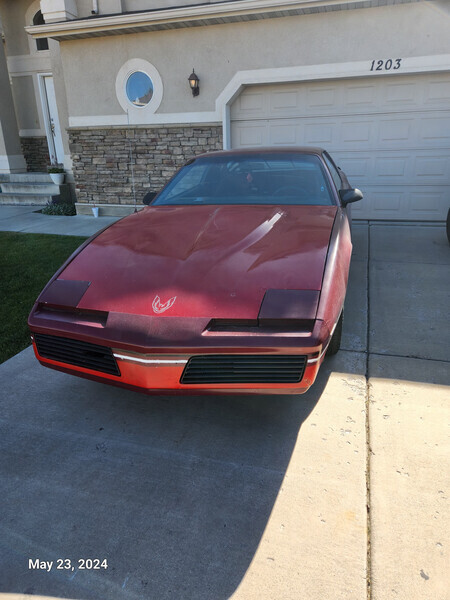 1982 Pontiac Firebird Trans Am 3000 in Lehi, UT | KSL Cars