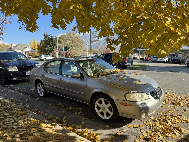 2001 Nissan Maxima SE 20th Anniversary 600 in Provo, UT | KSL Cars