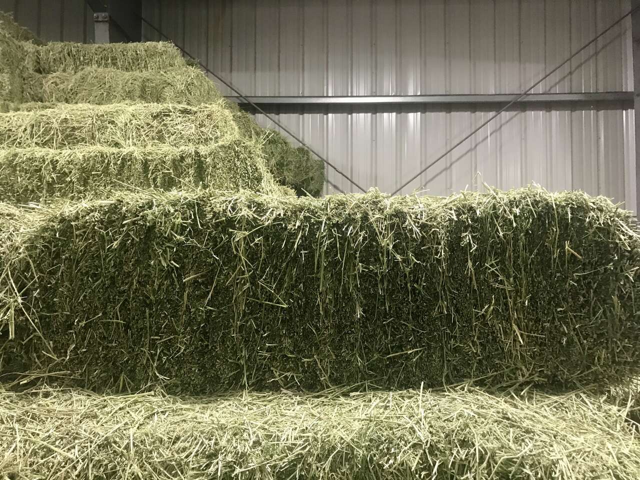 Beautiful Alfalfa Hay | Livestock | ksl.com