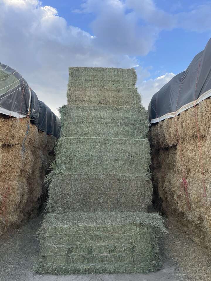Grass Hay | Livestock | ksl.com