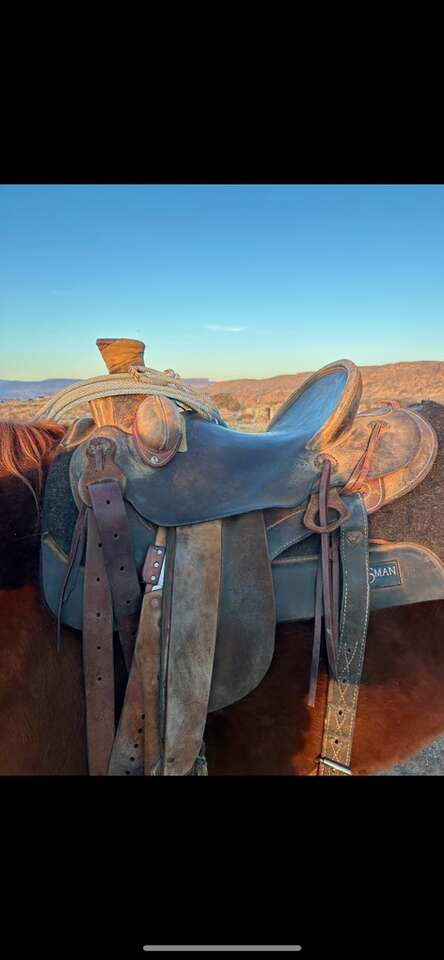 15.5 Handmade Wade | Livestock | ksl.com