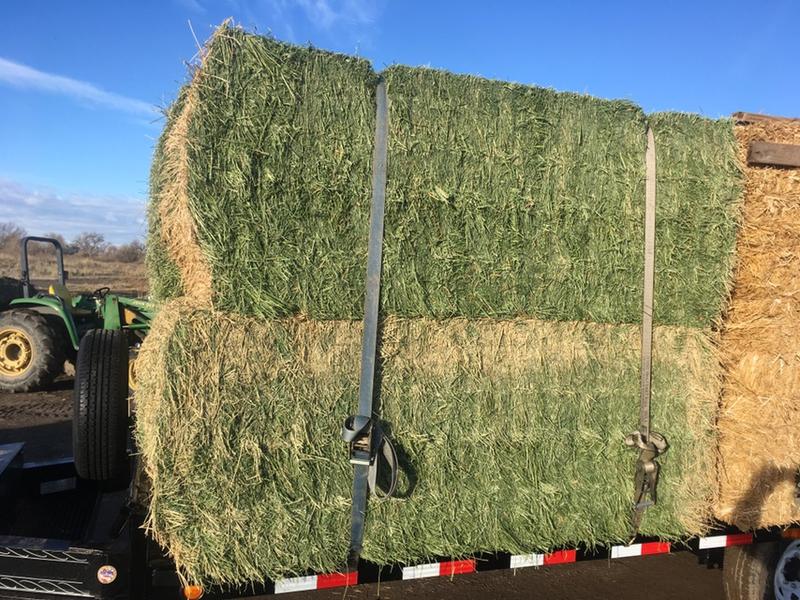3x4x8 Alfalfa Hay | Horses/Livestock, Hay and Bedding | KSL Classifieds