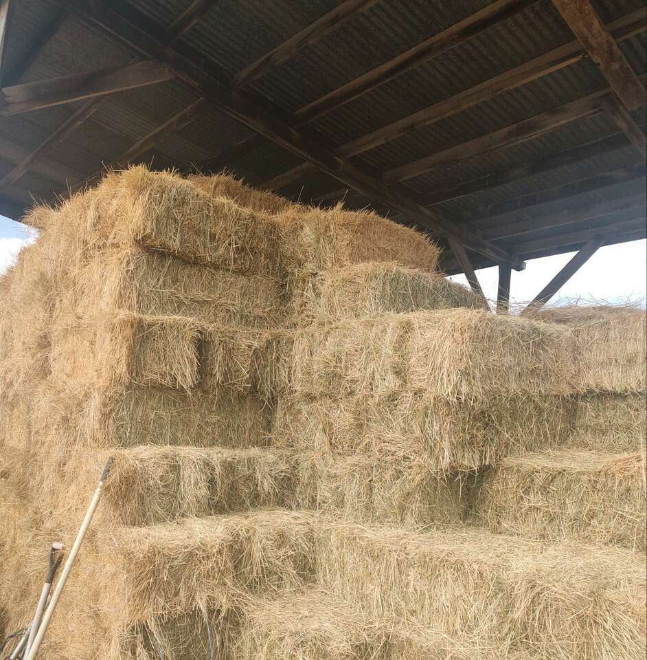 Grass Hay for Sale | Livestock | ksl.com