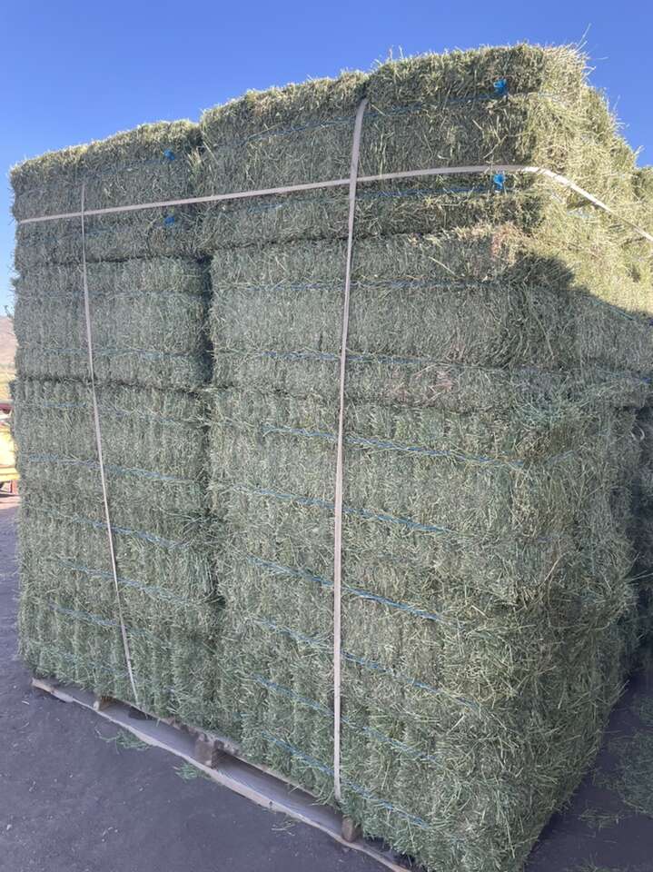 Premium Heavy 2 String Alfalfa Hay | Livestock | ksl.com