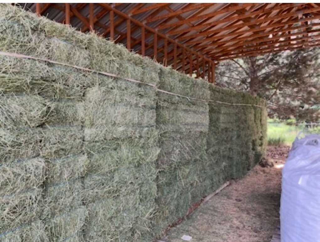 100 Premium 2 String Alfalfa Hay Delivered UT CO | Horses/Livestock ...