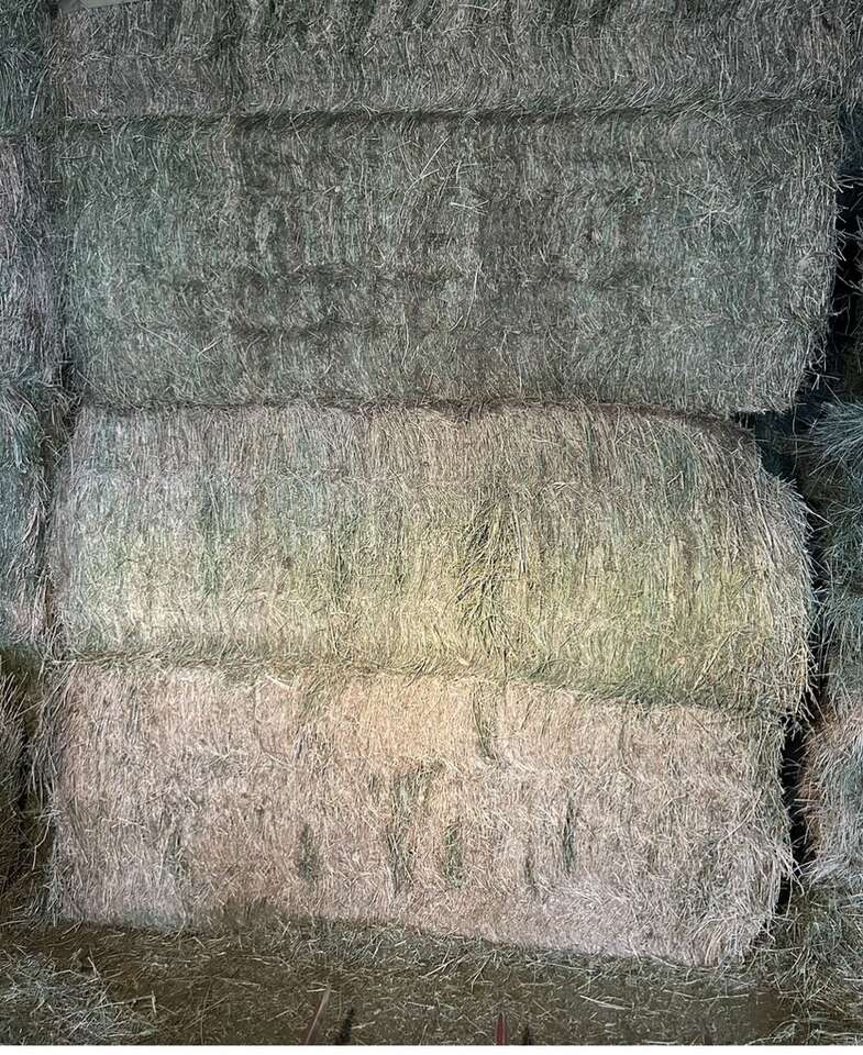 Find hay bales For Sale | ksl.com
