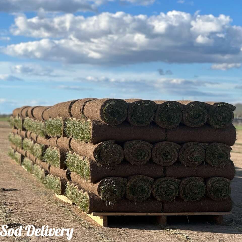 Sod Pickup & Delivery | Home and Garden | ksl.com