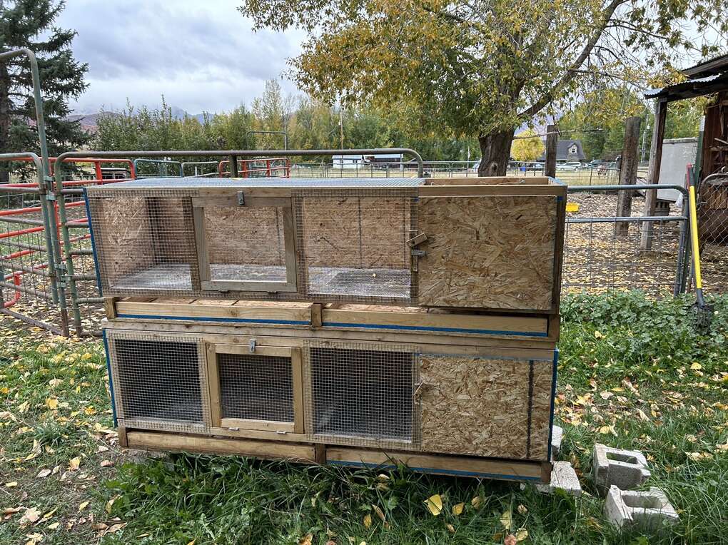 Quail Hutch, Stacking Double Decker | Livestock | ksl.com