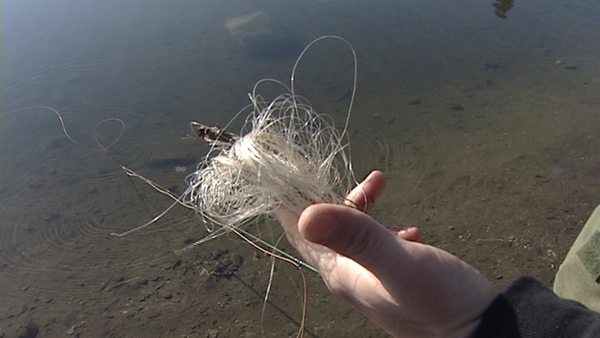Discarded fishing line proving deadly to birds | KSL.com