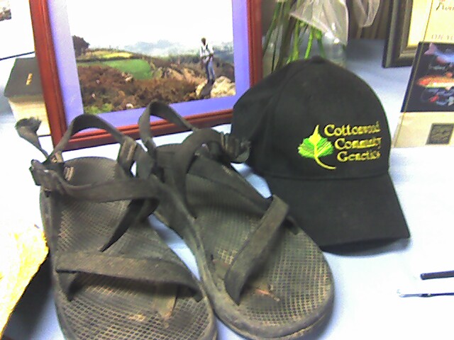 Family celebrates life of Brian Cardall | KSL.com