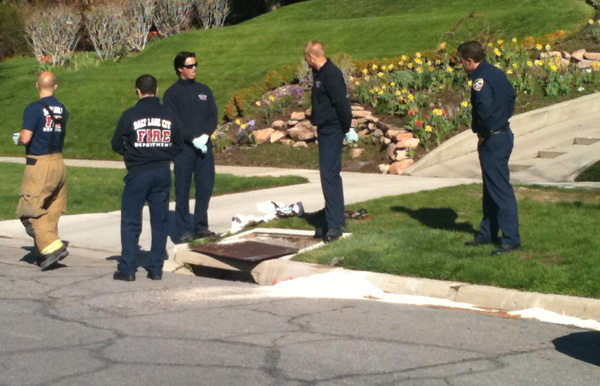 Crews stop insecticide from reaching storm drain | KSL.com