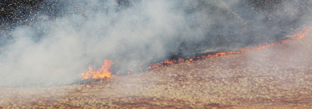 Promontory Point fire scorches 4,000 acres as early fire season rages ...