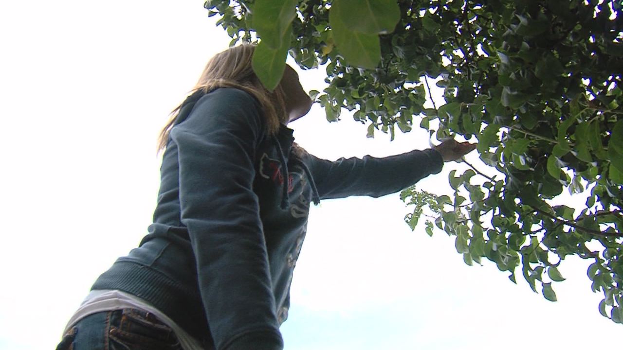 'Pear Lady' plans donation drive in response to WIC closure | KSL.com