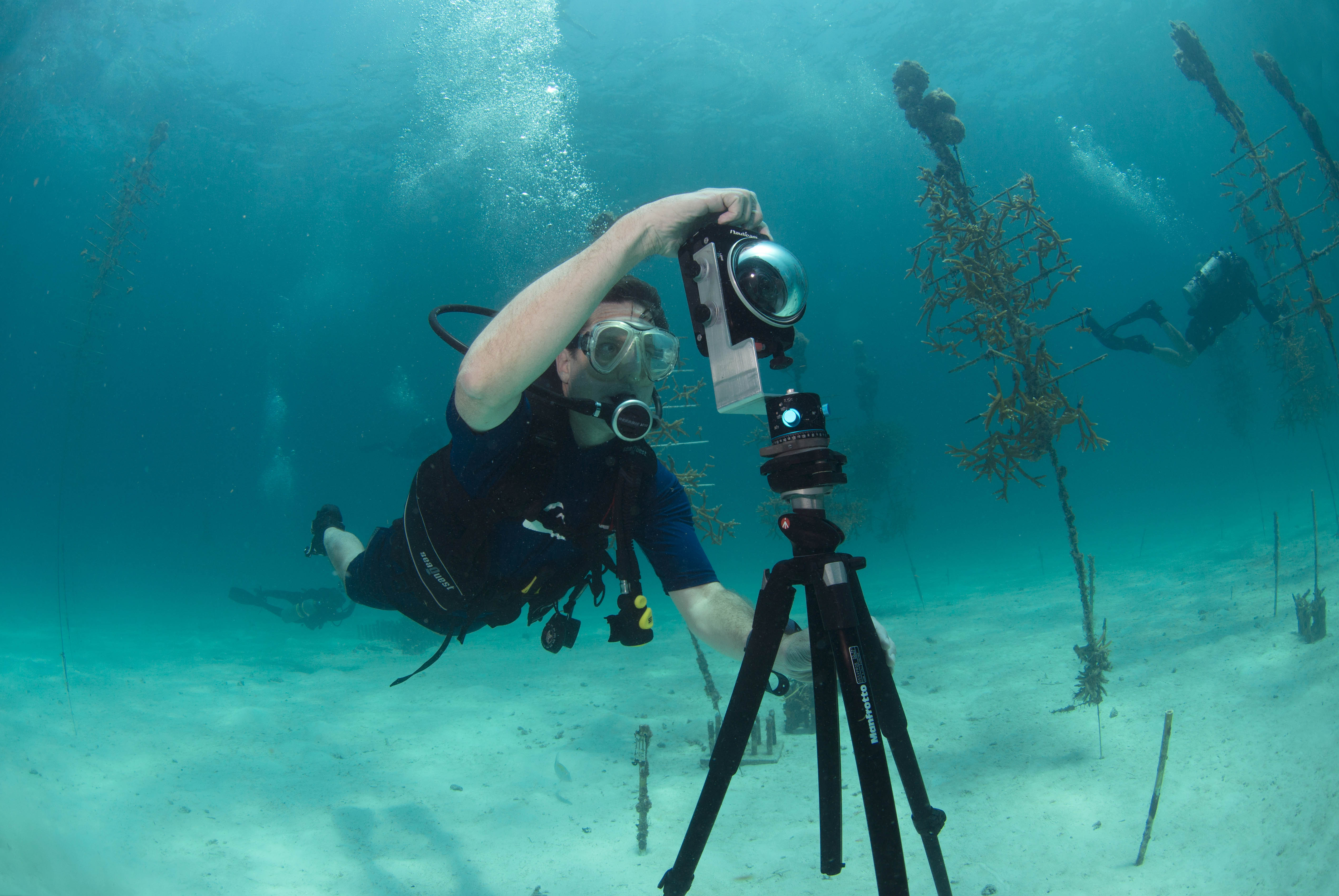 'Street view' goes undersea to map reefs, wonders | KSL.com