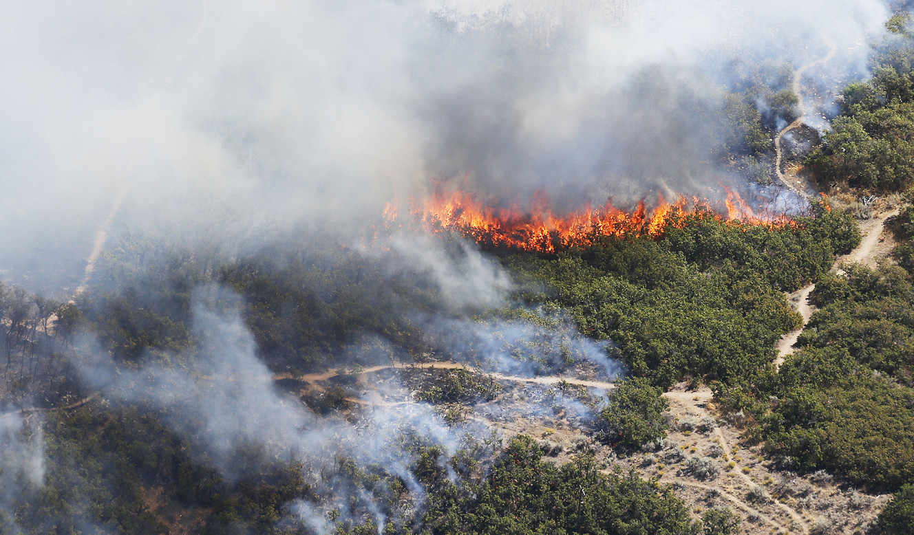 Wind-fueled wildfire causes evacuation in Cottonwood Heights | KSL.com