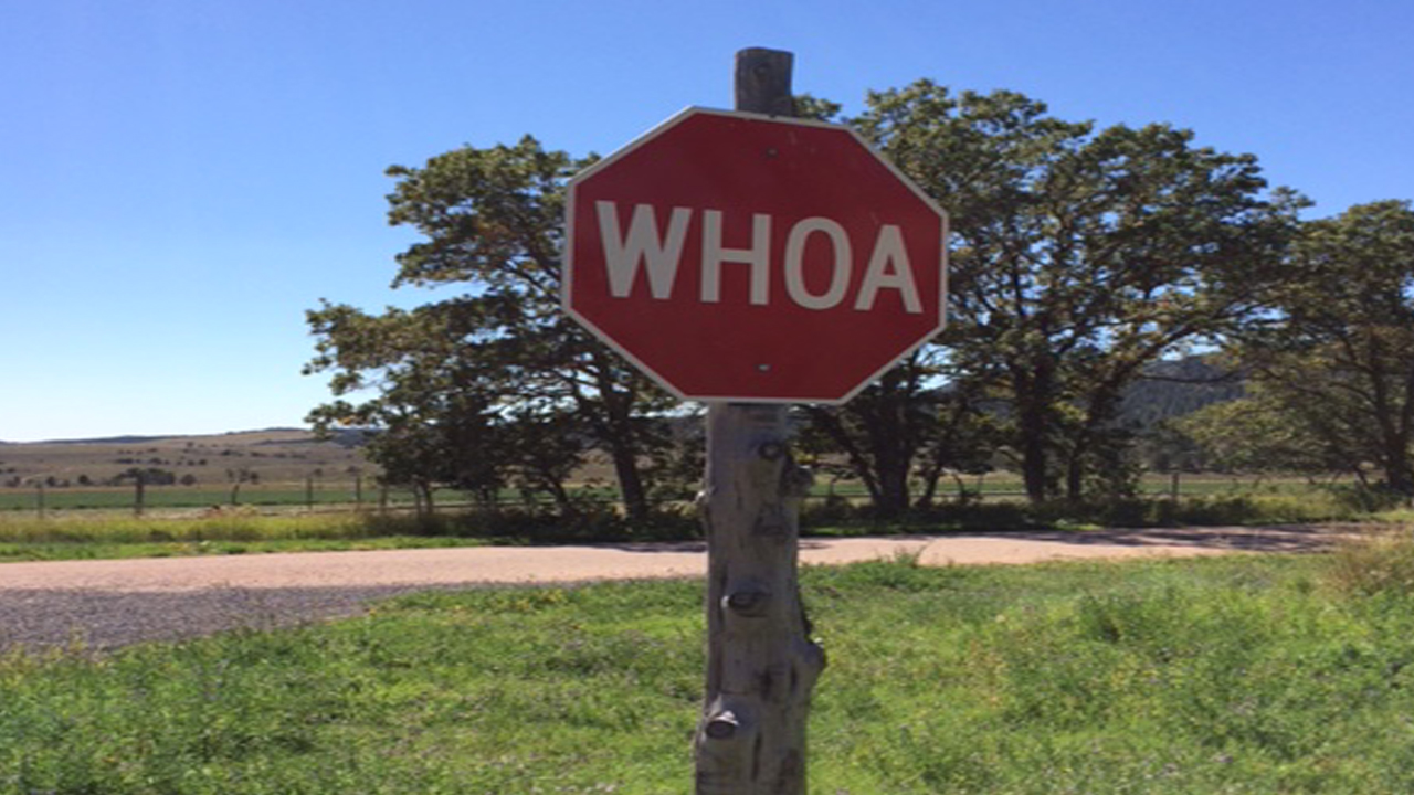 Whoa Stop Sign Whoa 1 Free Photo Download | FreeImages