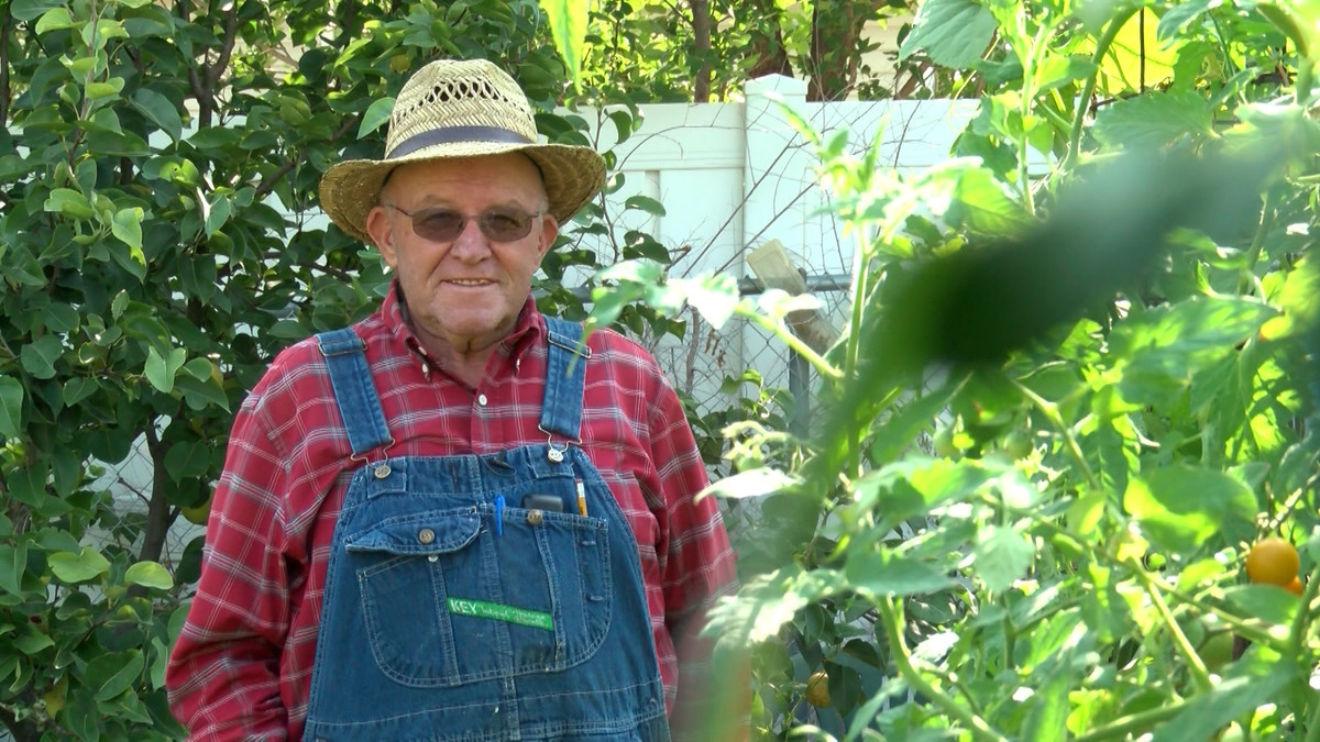 Utah's 'Tomato King' extols power of homegrown tomatoes | KSL.com