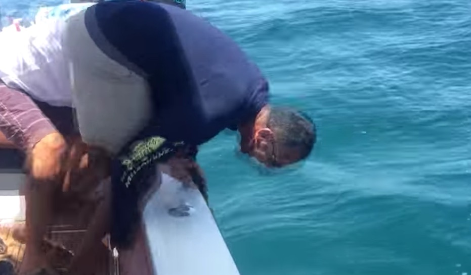 Video shows fisherman pulled overboard by monster fish | KSL.com