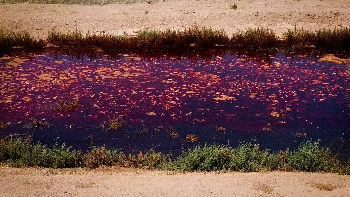 Smelly Potentially Toxic Dumping In Beaver County Has Neighbors