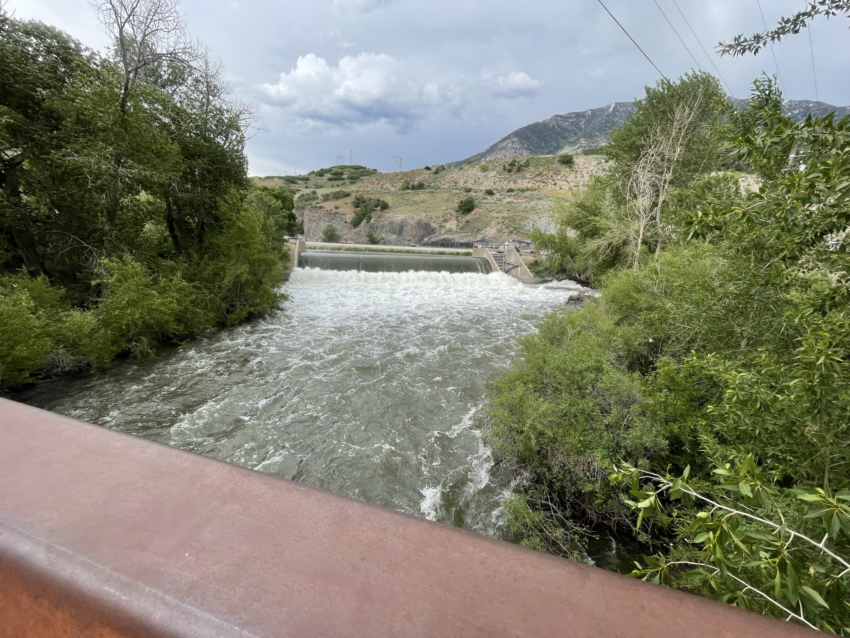 'We risked a lot': Rescuer details hourlong search for 12-year-old in ...