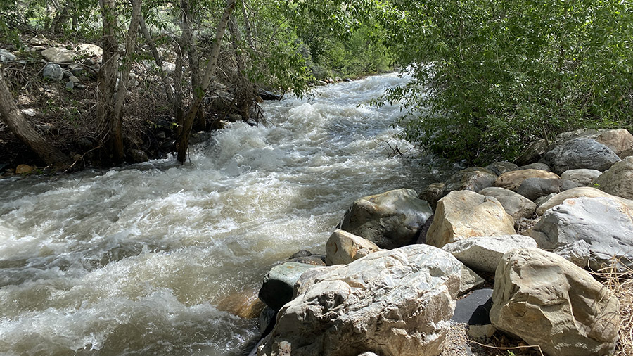 High mountain snow melt fills rivers and creeks as peak runoff nears ...