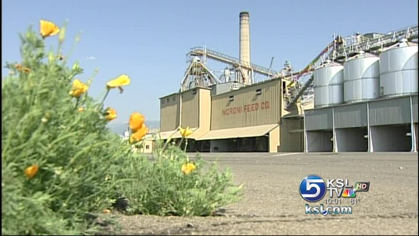 Utah company puts operations on hold due to food and fuel prices | KSL.com
