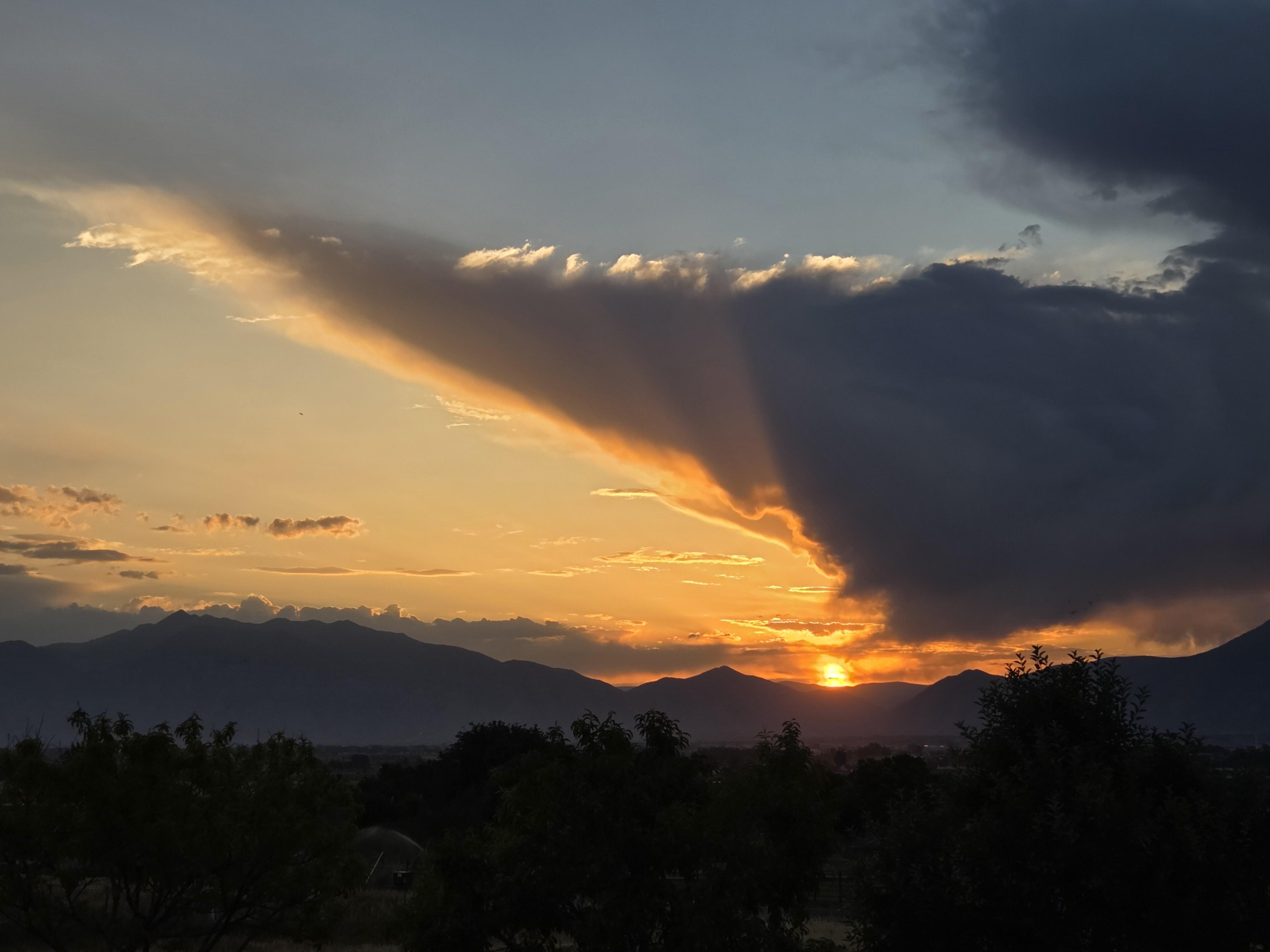 July 2025 Photo Gallery